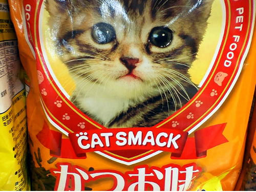 Japangrish - Cat Smack